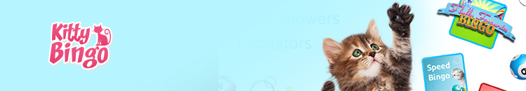 Kitty Bingo | Get €25 Exclusive Welcome Bingo Bonus (2024)