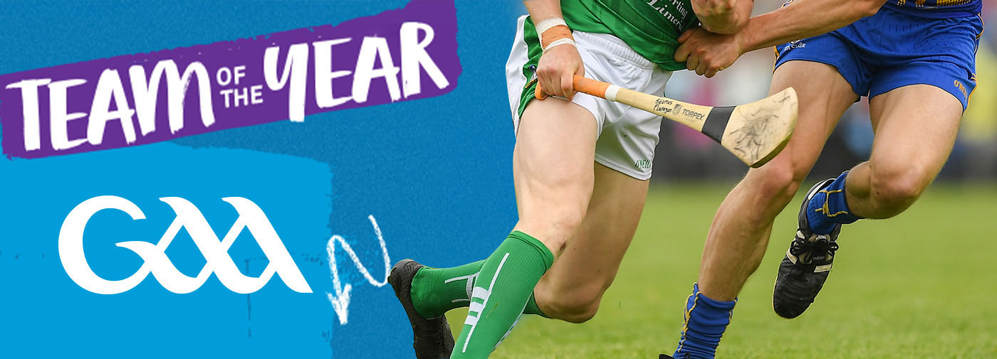 2024 Hurling Team of the Year